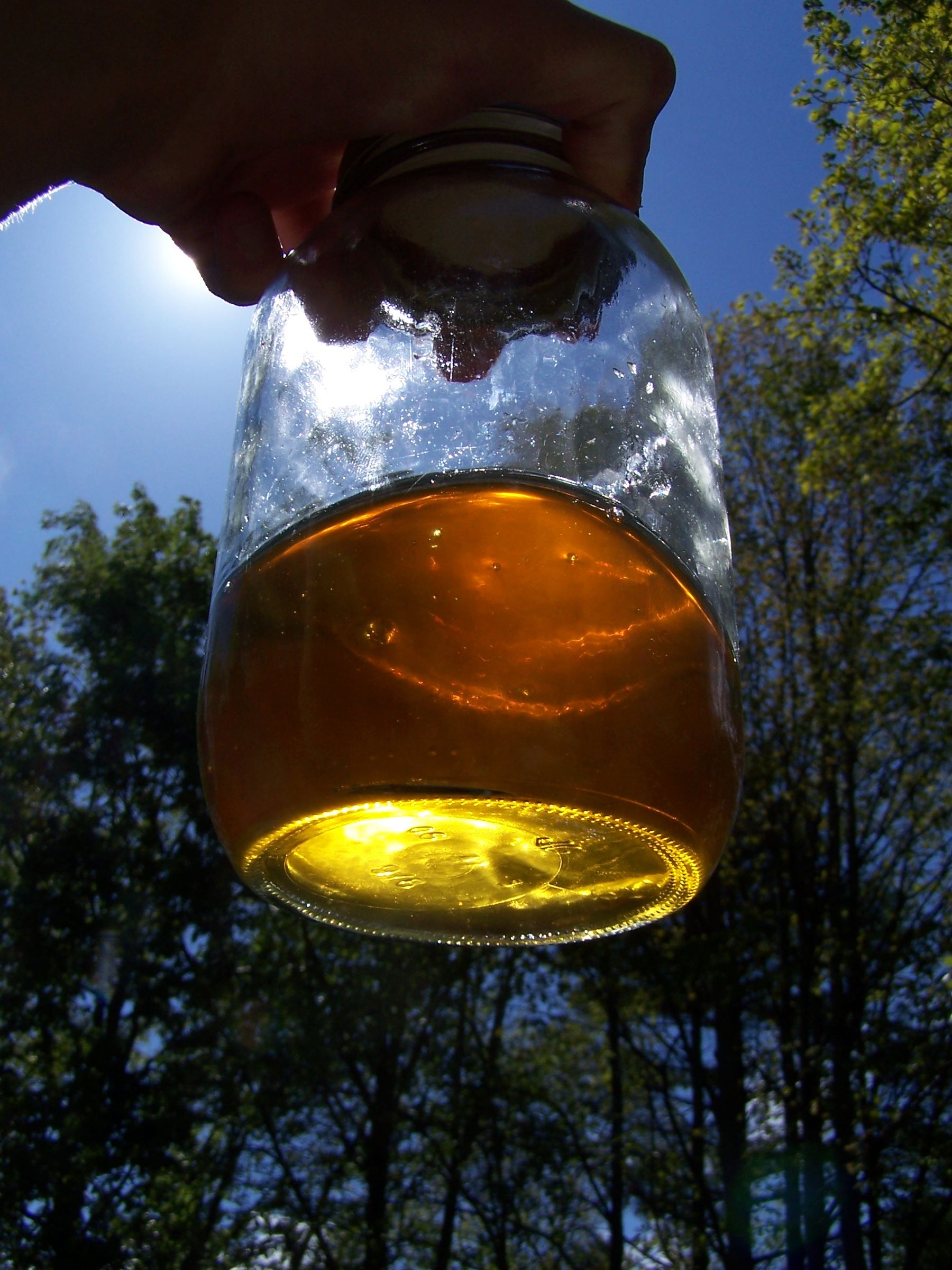 Make Biodiesel! : 8 Steps (with Pictures) - Instructables