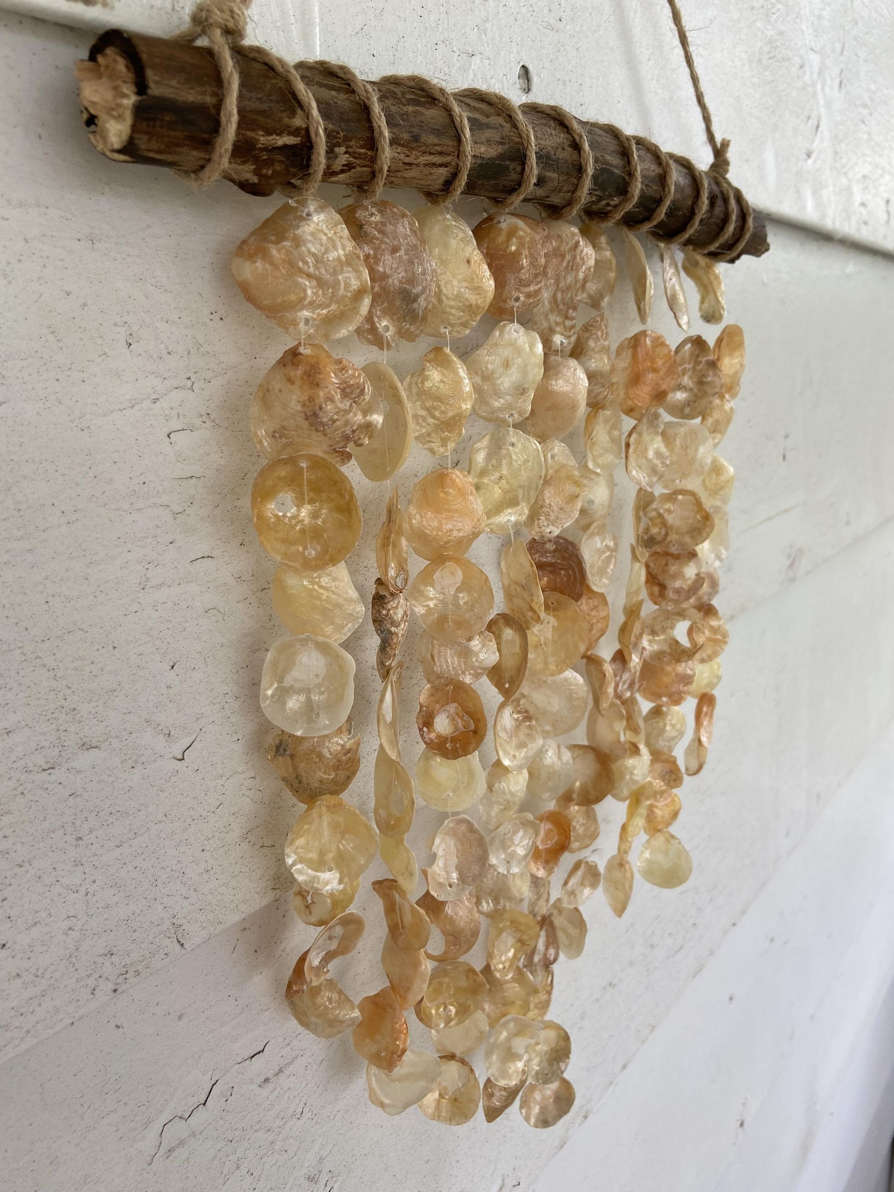 Seashell Wall Hanging : 6 Steps (with Pictures) - Instructables