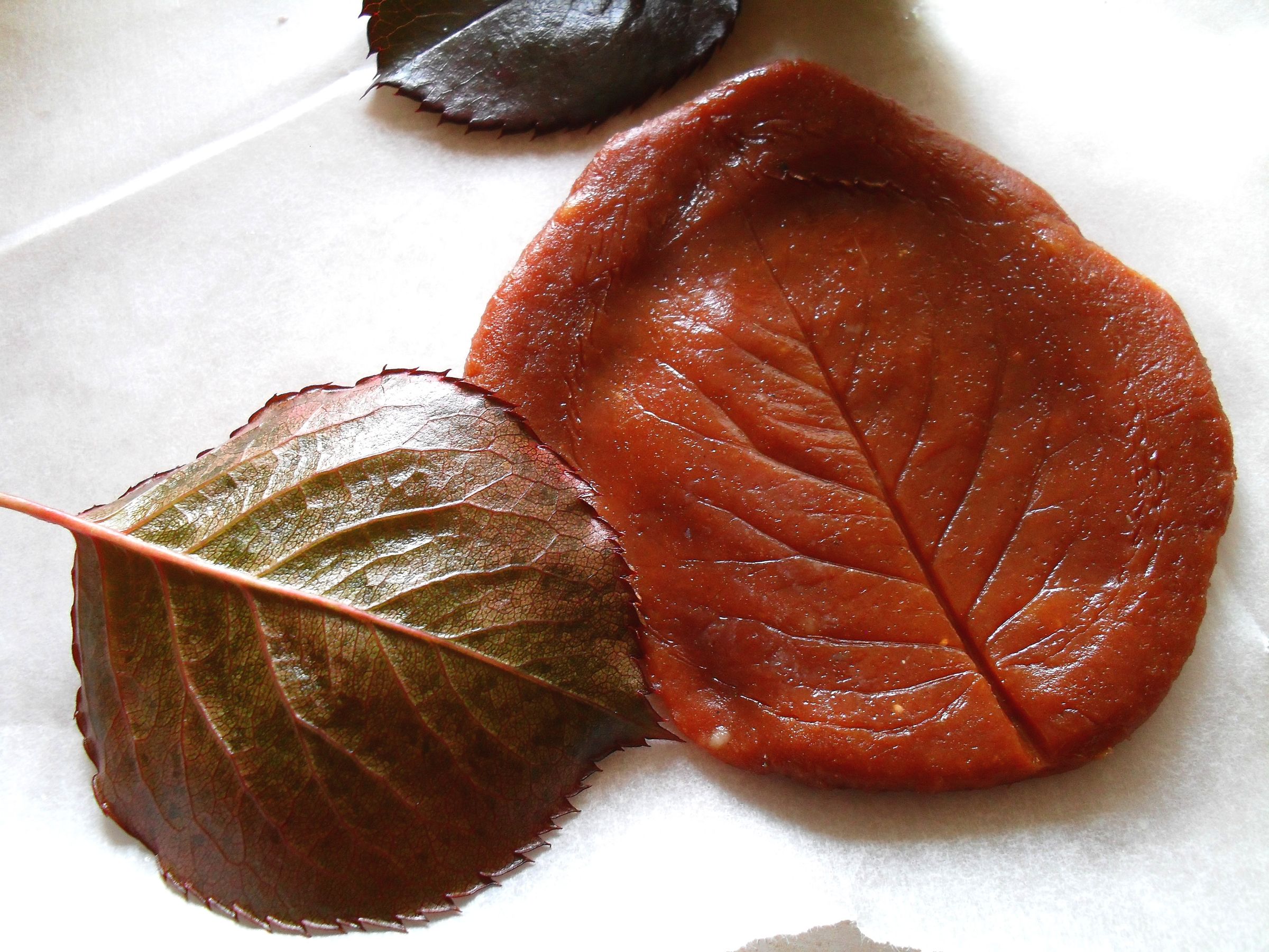 Easy Mold Making : 3 Steps (with Pictures) - Instructables