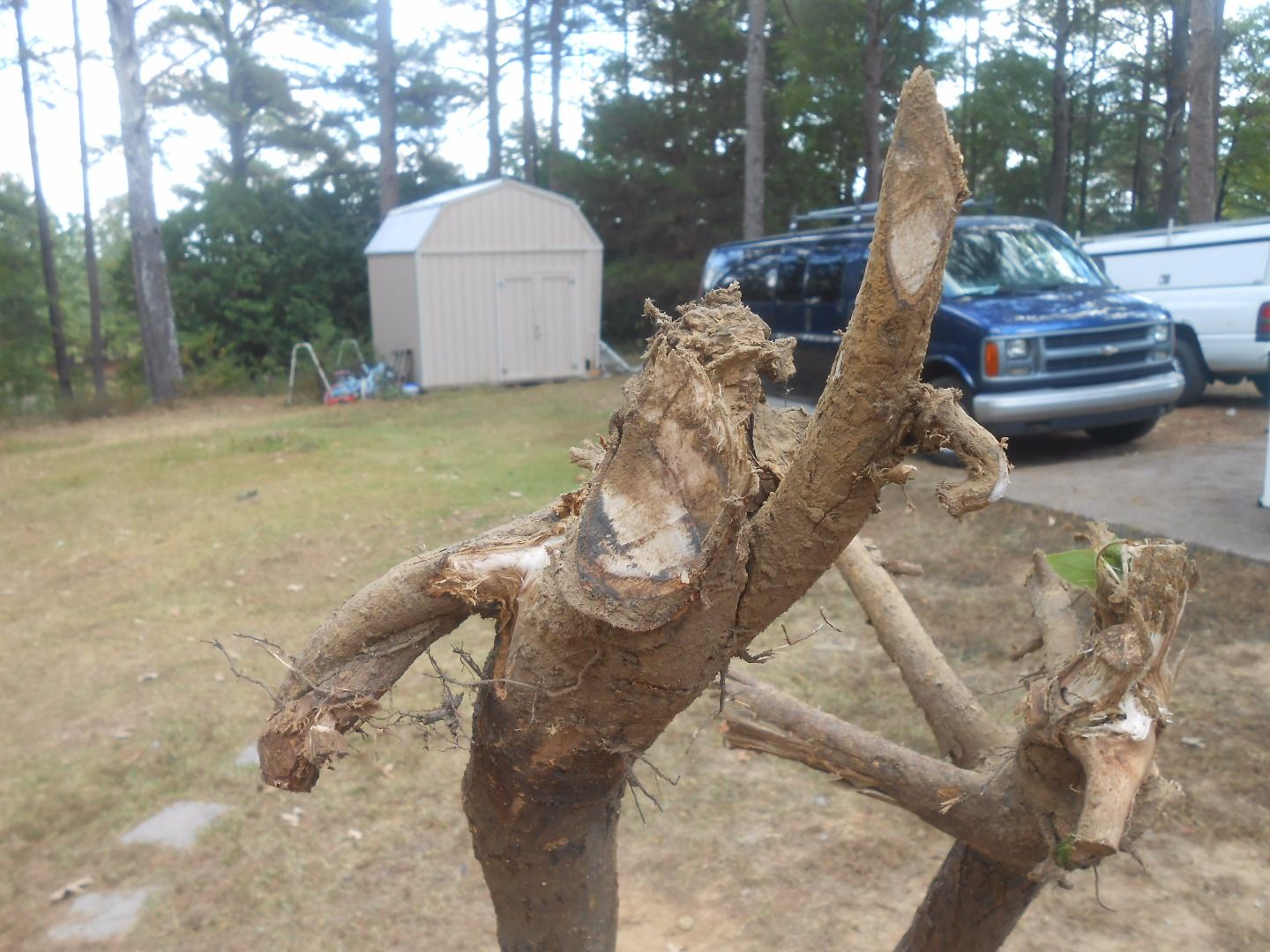 Make a REAL Wizard Staff : 11 Steps (with Pictures) - Instructables