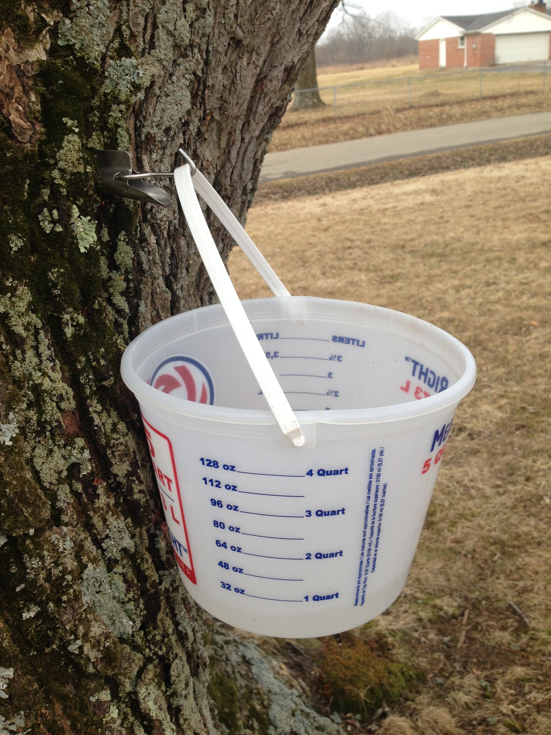 How to Make Maple Syrup : 5 Steps - Instructables