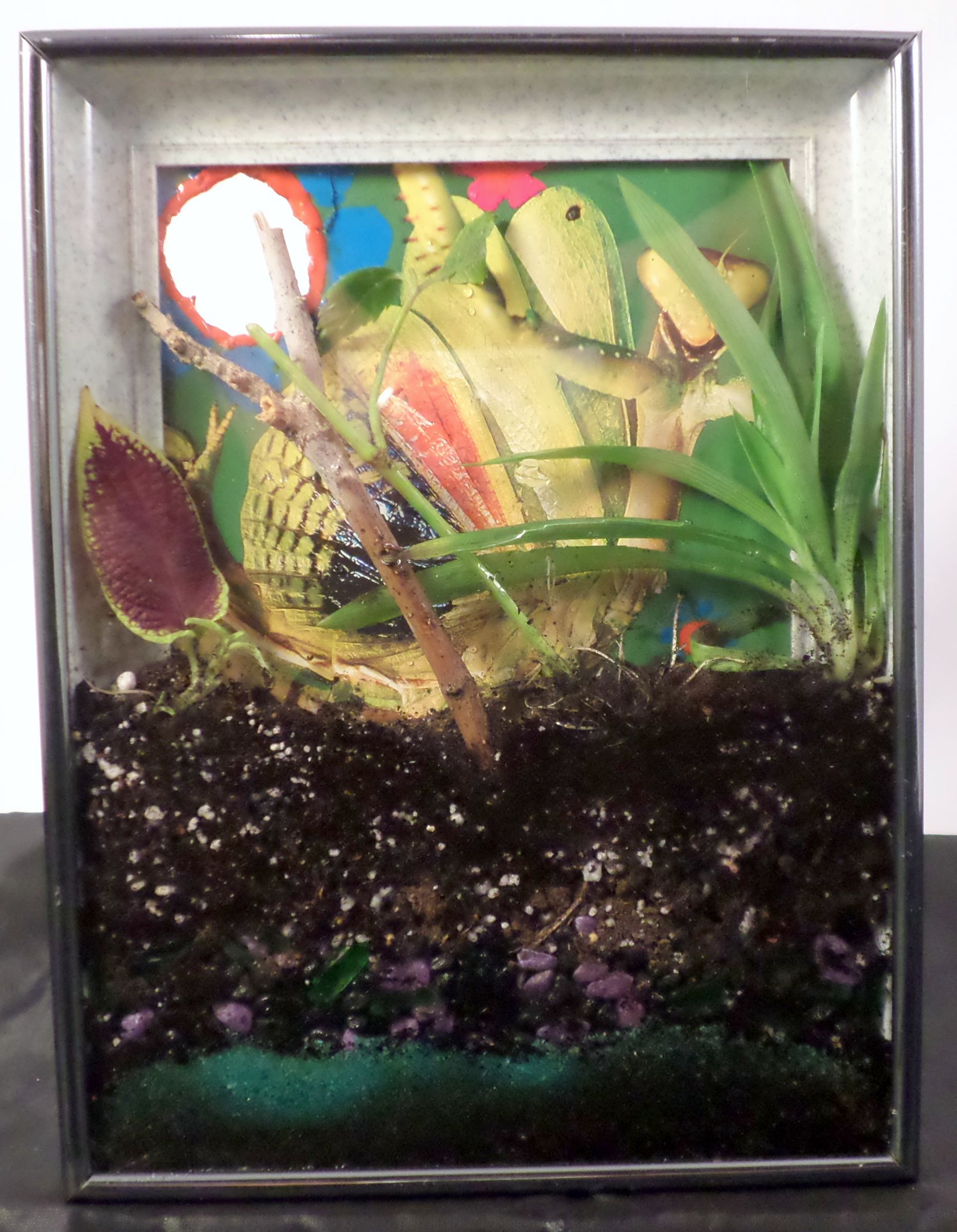 Picture Frame Terrarium : 13 Steps (with Pictures) - Instructables