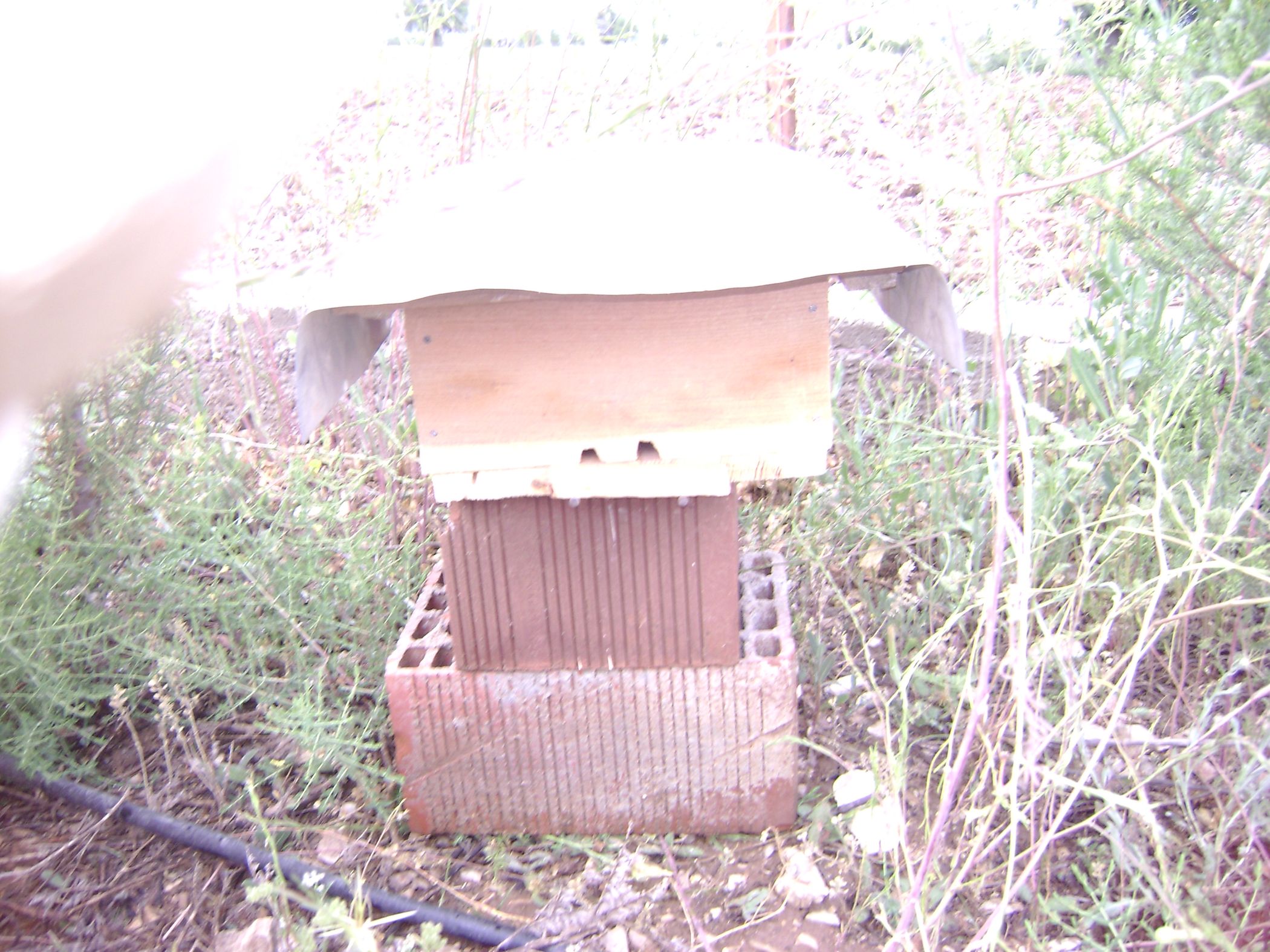 An Emergency Bee Hive : 6 Steps - Instructables