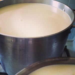 Basic Steps of How to Make Cheese : 8 Steps (with Pictures) - Instructables