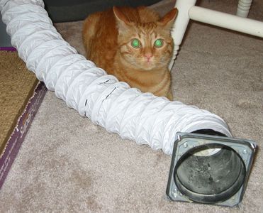 Litter Box Vent Fan - Eliminate Cat Litter Stink : 6 Steps (with ...