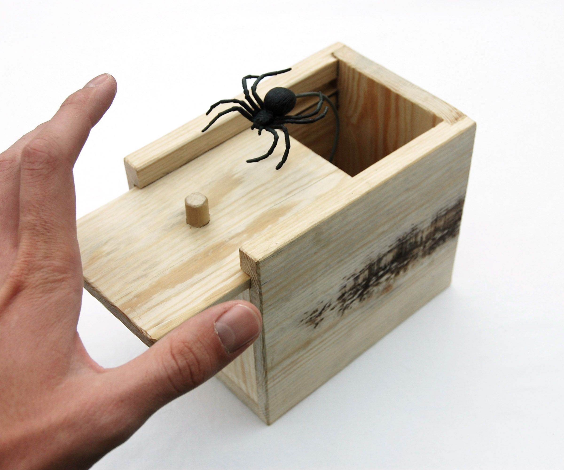 Spider Box : 11 Steps (with Pictures) - Instructables