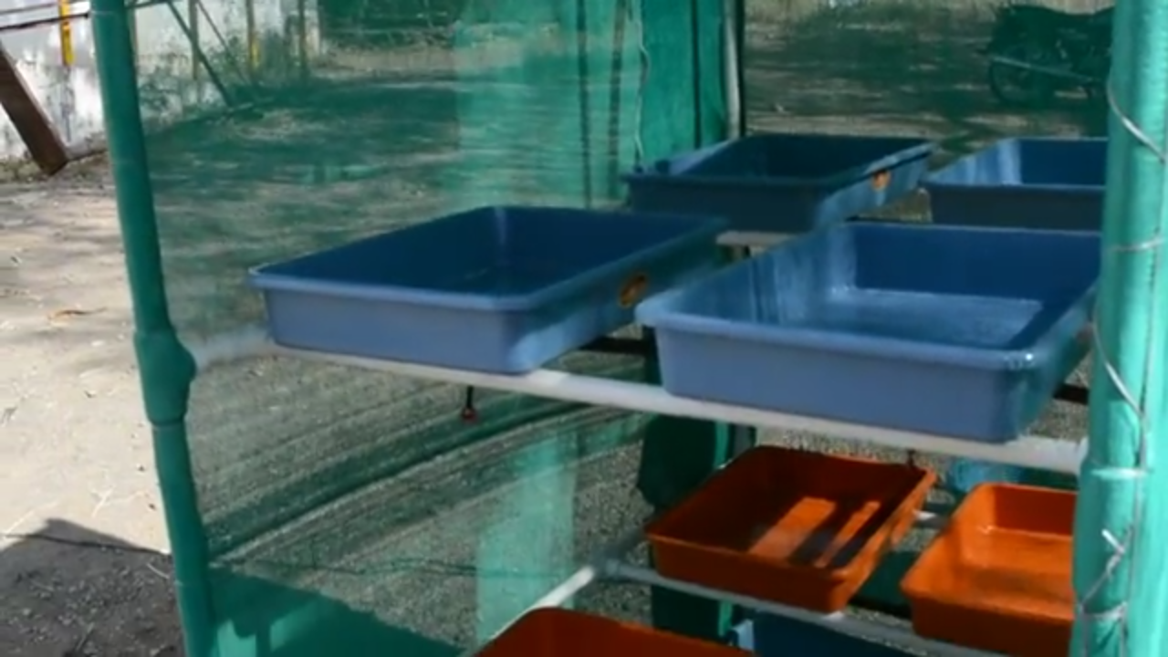PVC Pipe Hydroponics Structure. : 5 Steps (with Pictures) - Instructables