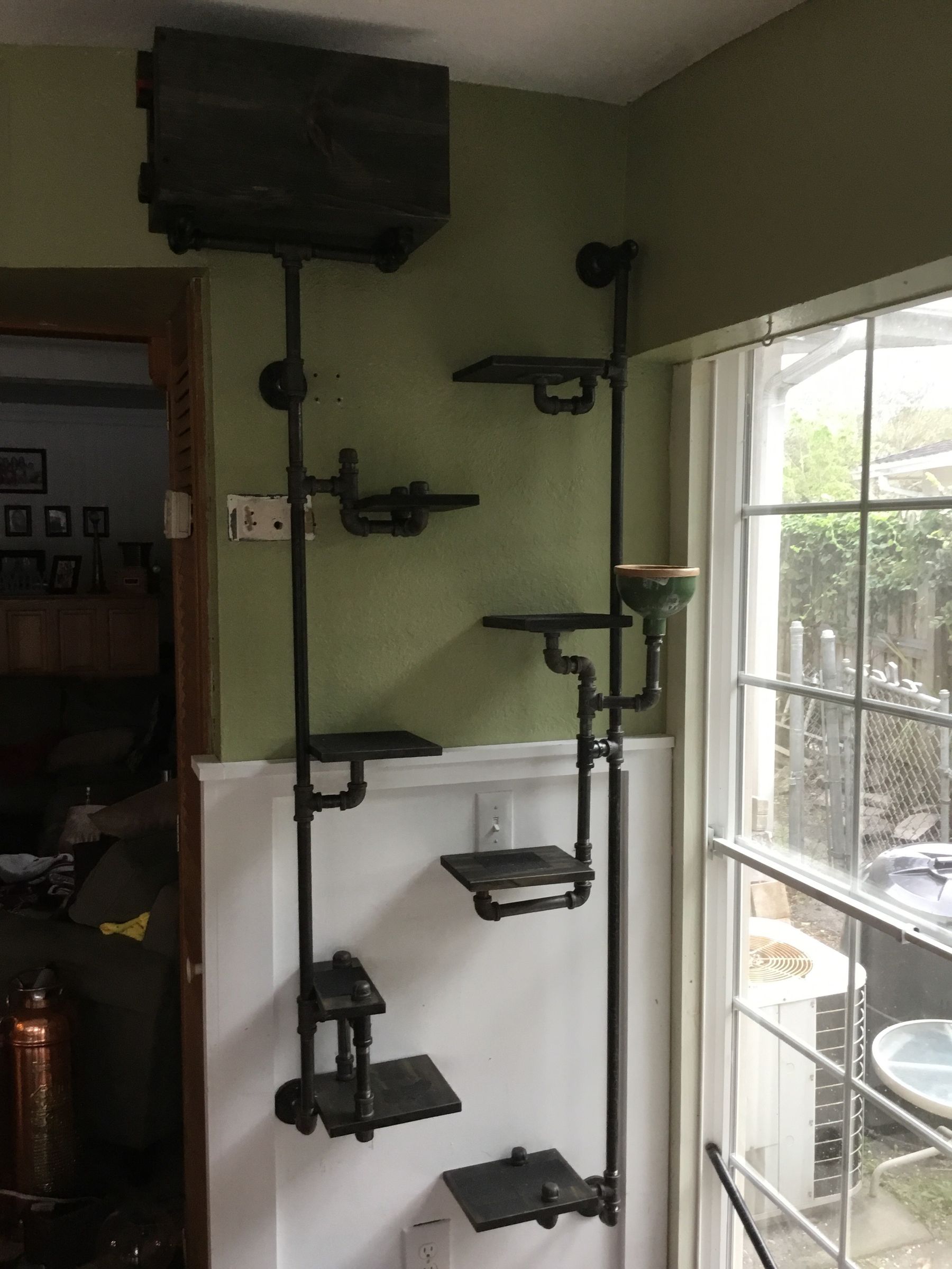 Cat Wall : 5 Steps (with Pictures) - Instructables