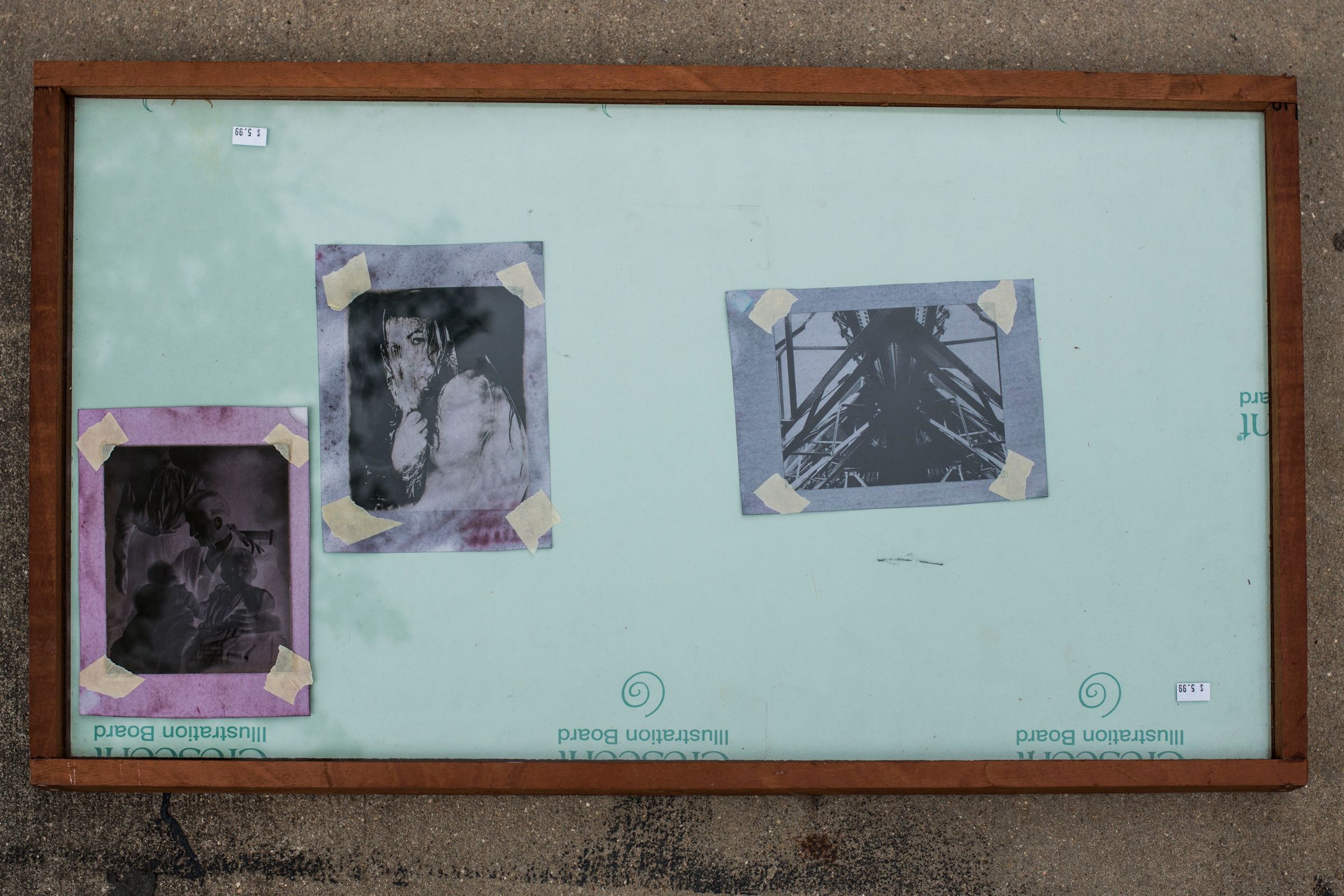 DIY Anthotype Prints: Photography : 5 Steps (with Pictures) - Instructables