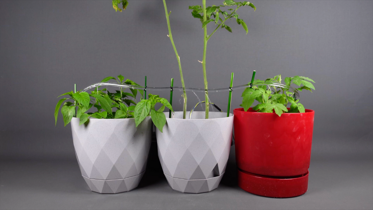 DIY Automatic Plant Watering System : 9 Steps (with Pictures ...