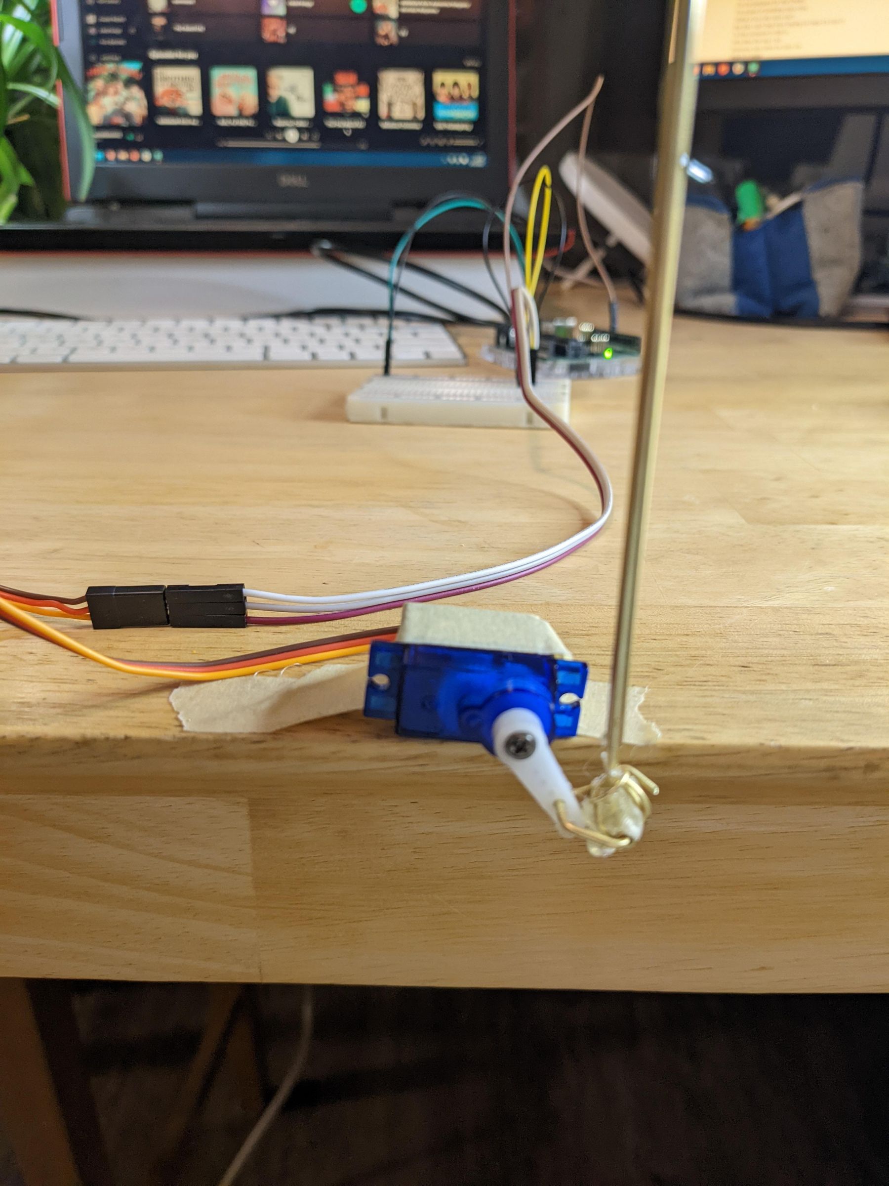 Blossoming Flower - Arduino Powered : 8 Steps (with Pictures ...