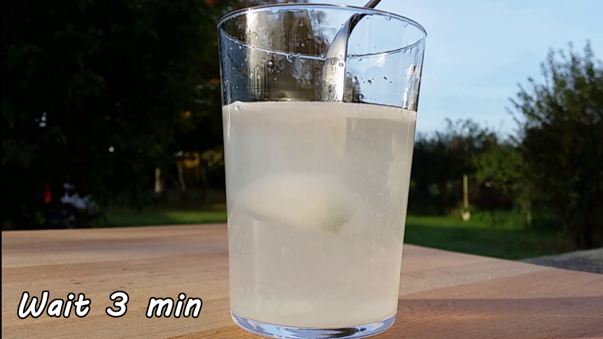 Molecular Mojito Cocktail - Inverse Spherification : 6 Steps (with ...