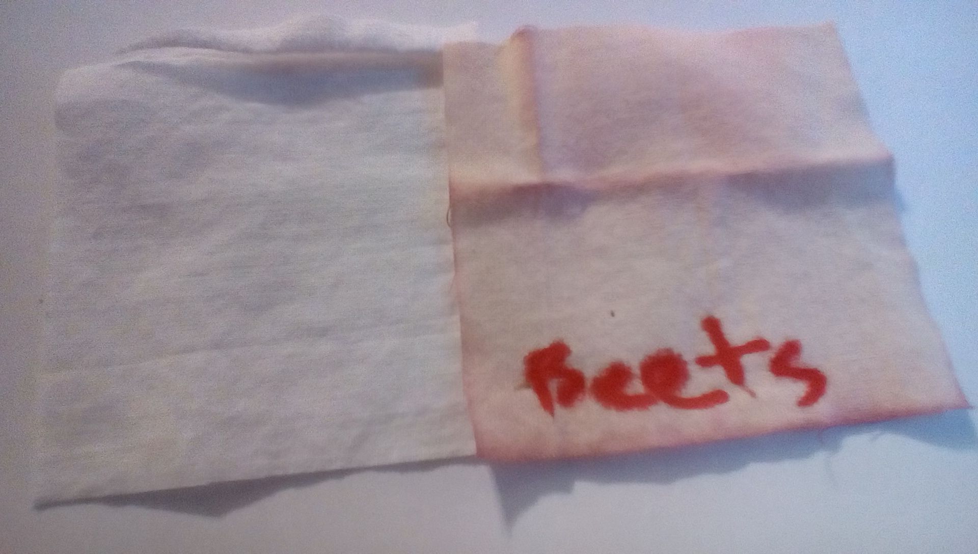 Naturally Dyed Fabric Experiment : 7 Steps (with Pictures) - Instructables
