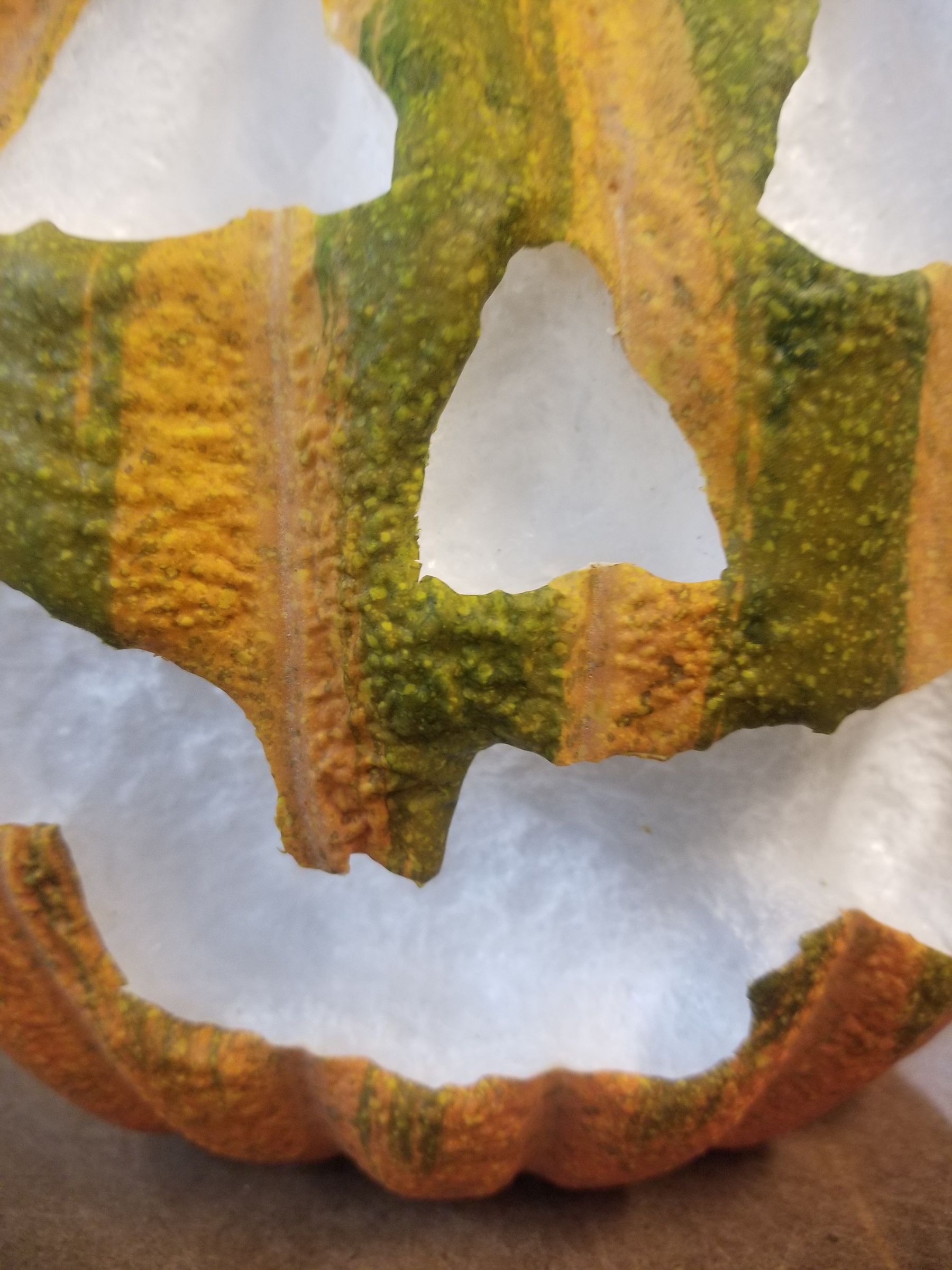 Rotten Pumpkins : 4 Steps (with Pictures) - Instructables