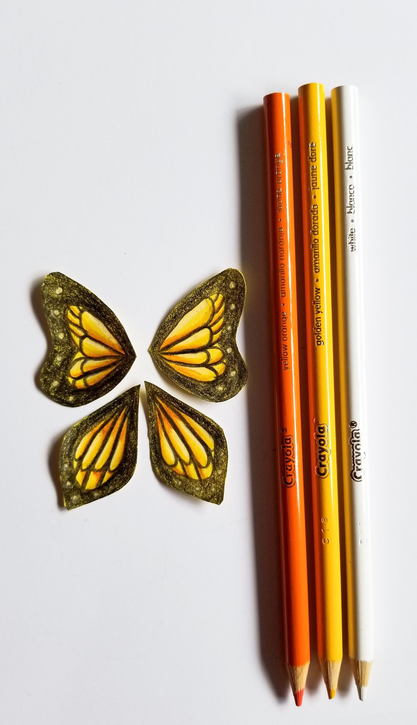 Wind-Up Paper ButterFLY : 10 Steps (with Pictures) - Instructables