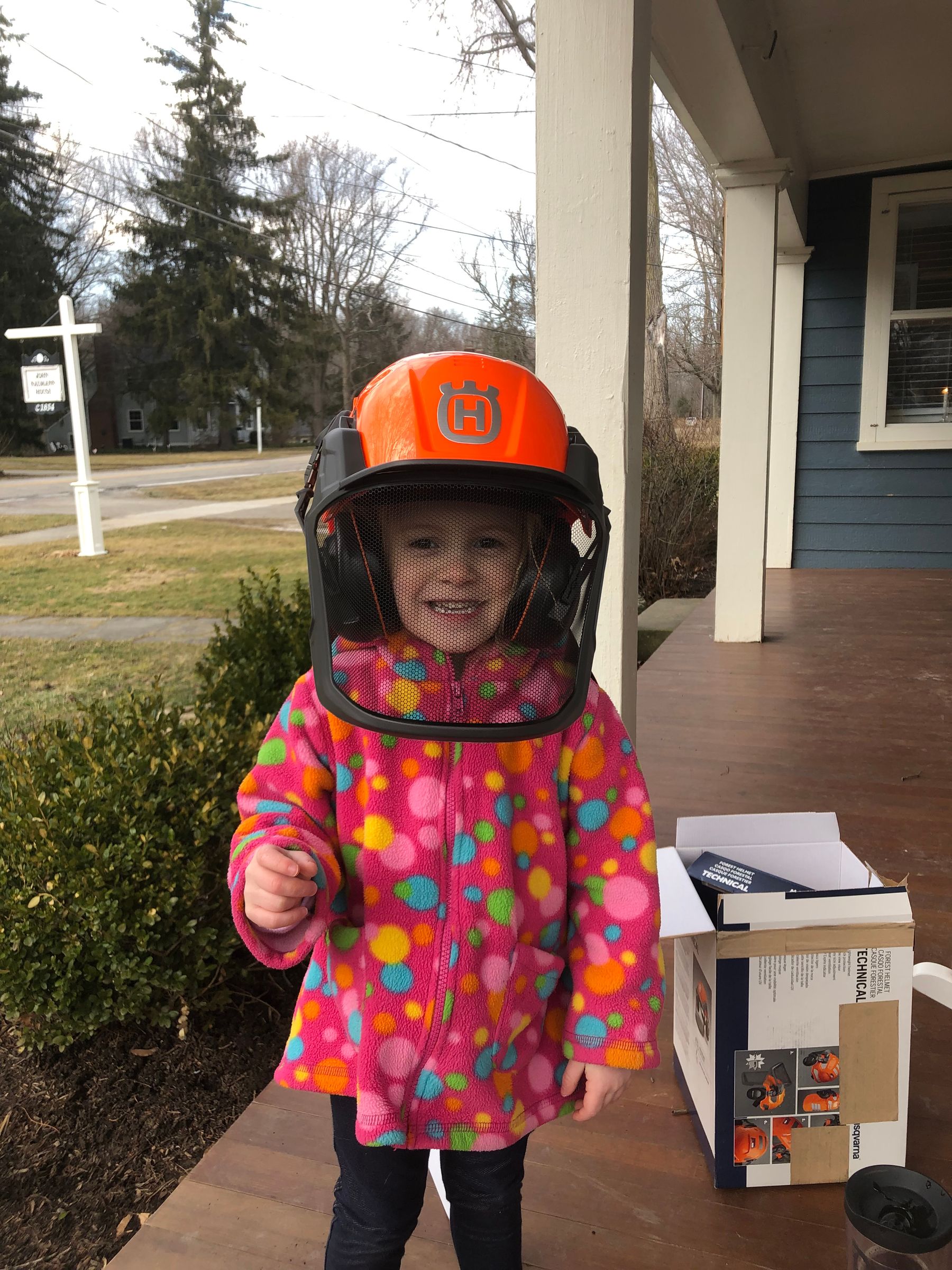 Log Path Cut Into a Hill : 5 Steps (with Pictures) - Instructables