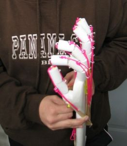 Science Fair - Articulated Hand