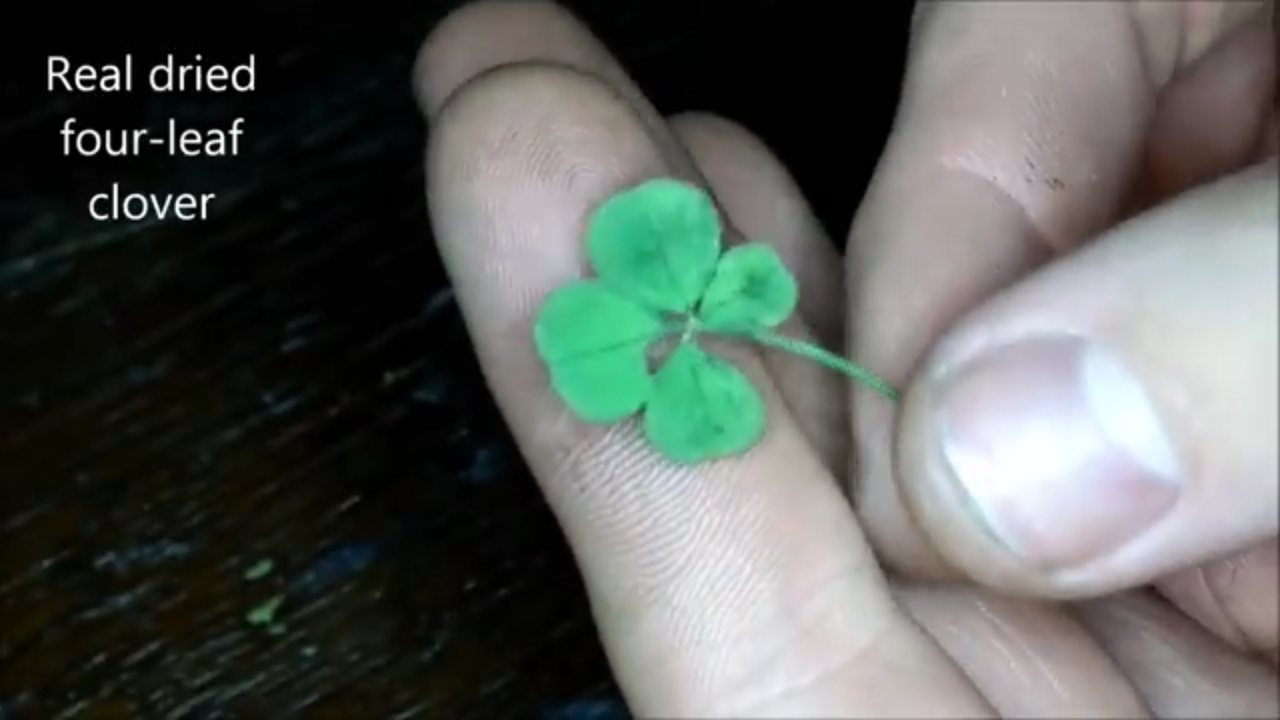 DIY Four-leaf Clover in Resin : 9 Steps (with Pictures) - Instructables