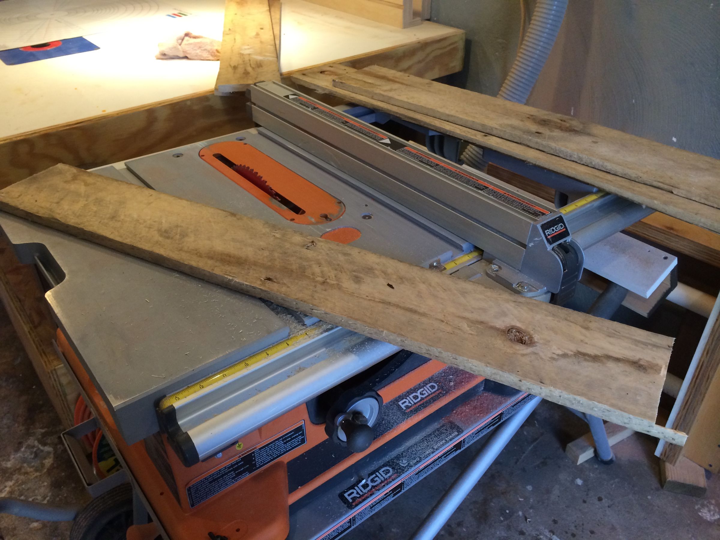The Wild Rabbit Feeder : 6 Steps - Instructables