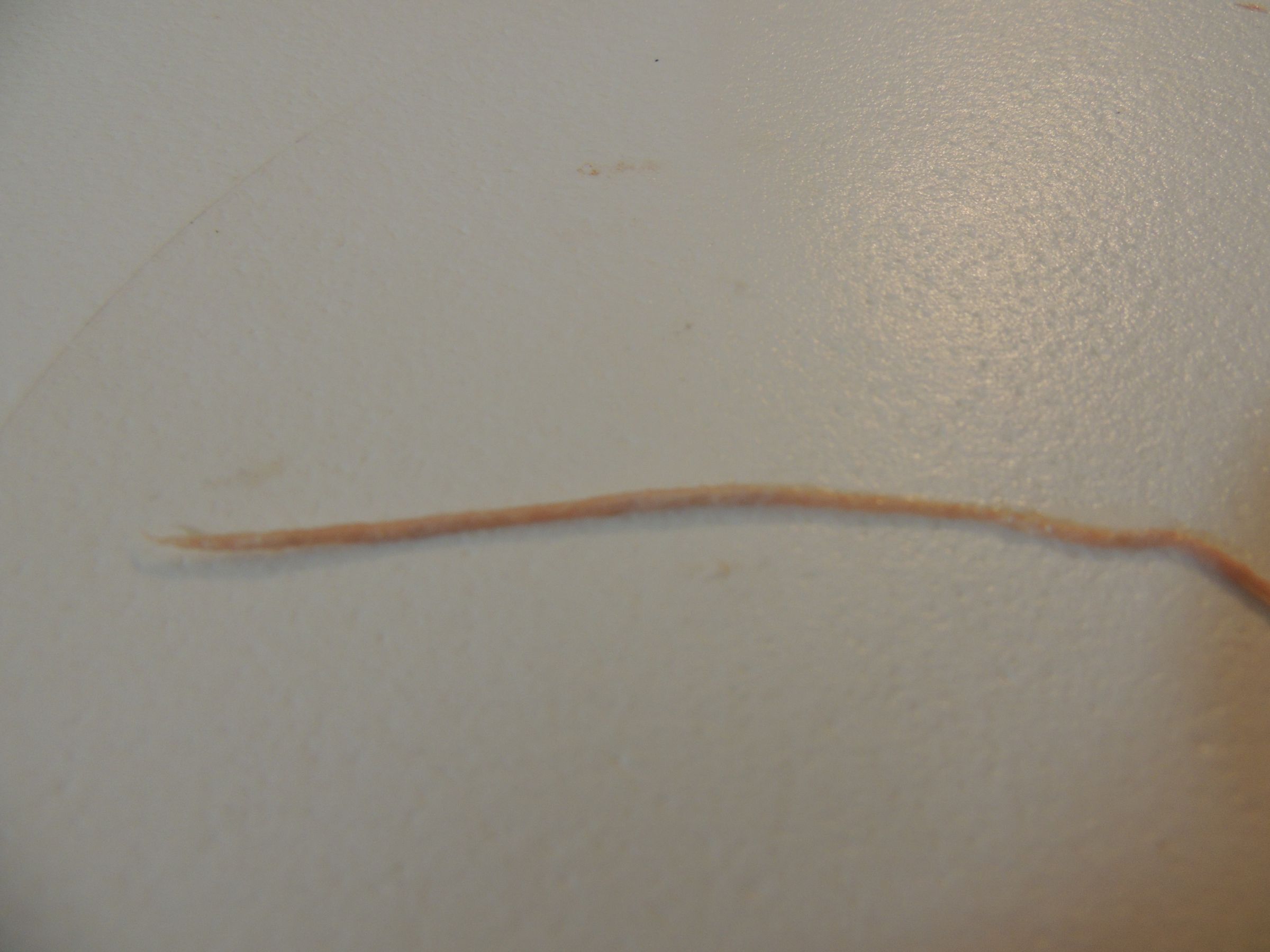 Maggot Infested Skin (Trypophobia) Doctor Costume : 5 Steps (with ...