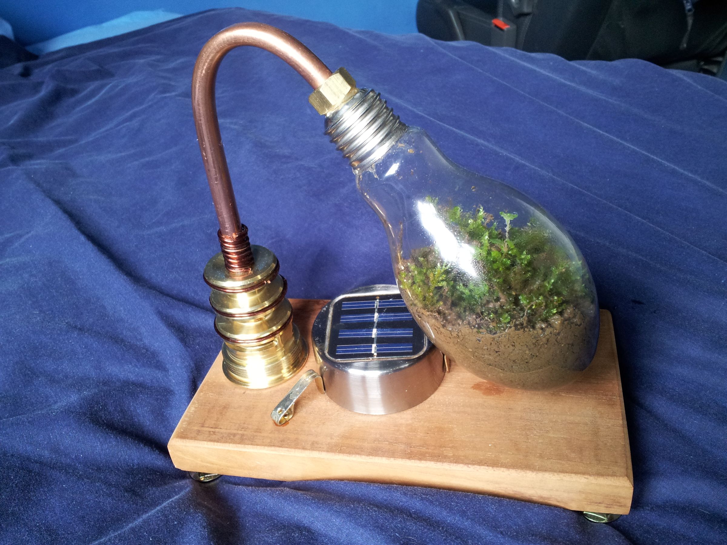 Desktop Terrarium With Night Light : 4 Steps (with Pictures ...