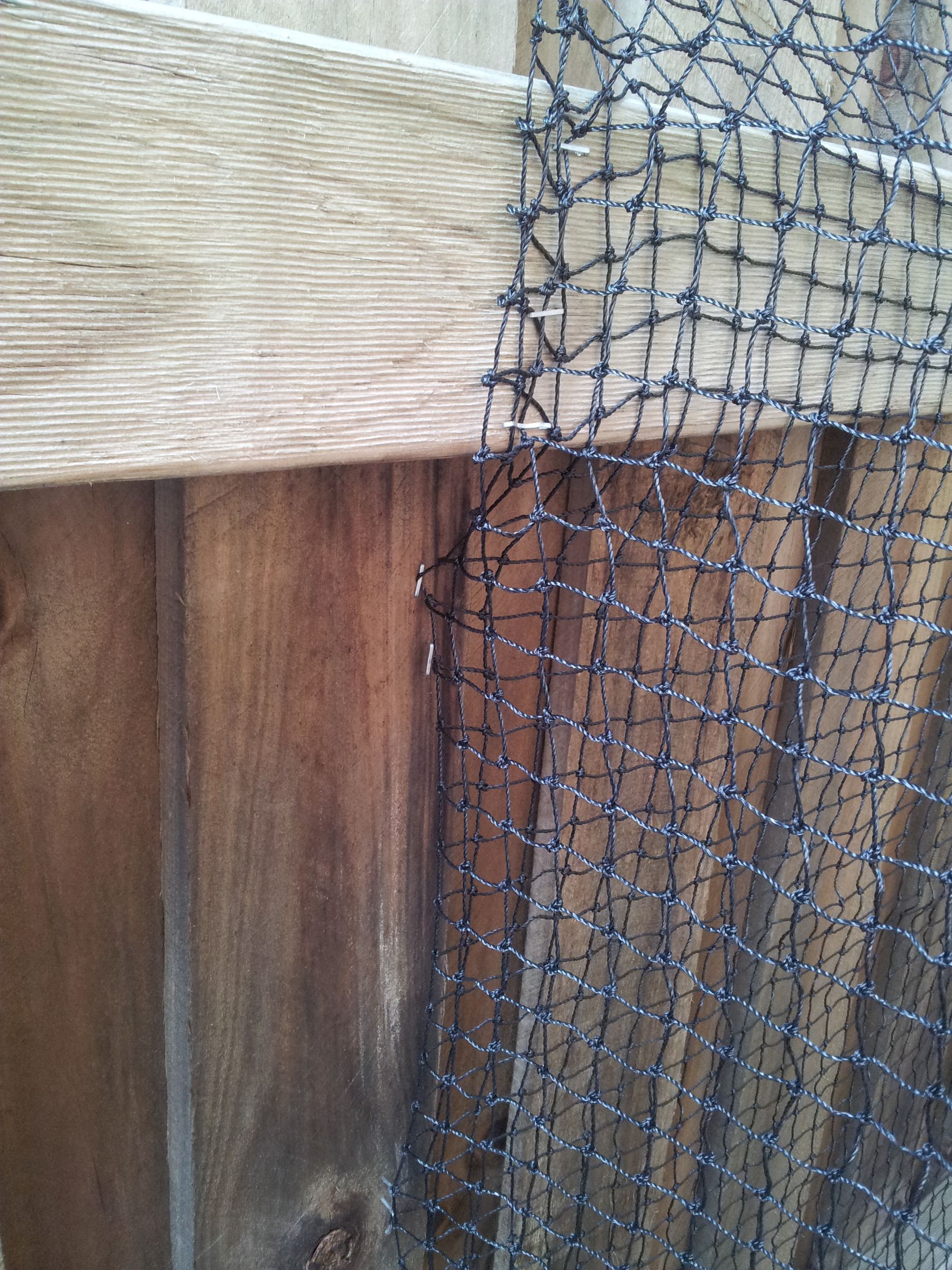 DIY Custom Fit Cat Run : 10 Steps (with Pictures) - Instructables