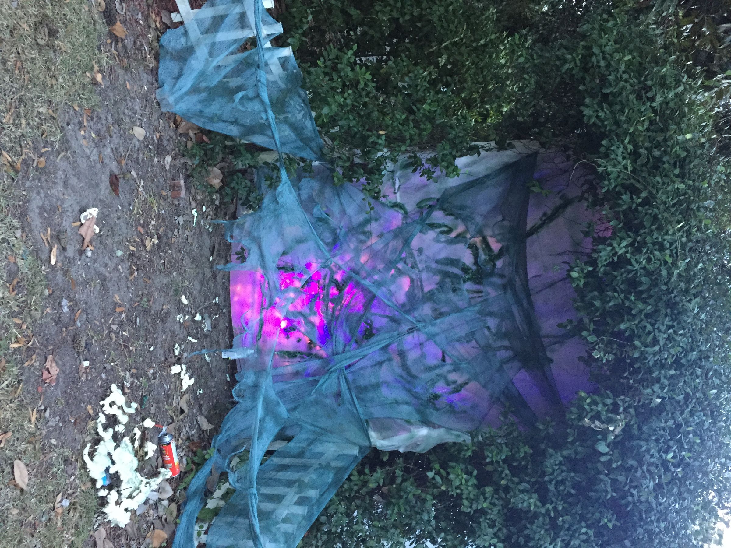 Stranger Things Halloween Light Show, Castle, Scare, Portal and MORE ...