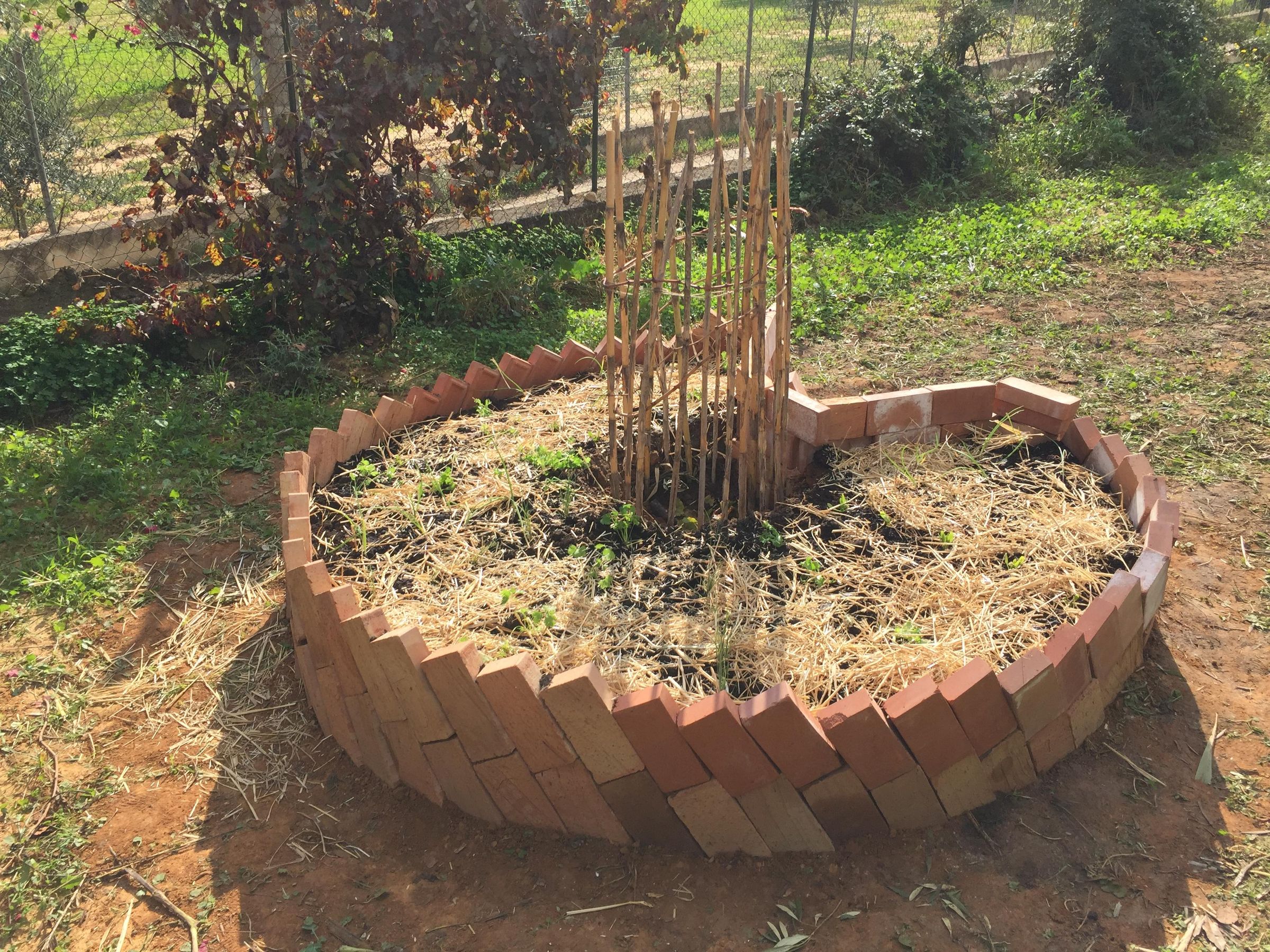 Keyhole Garden : 12 Steps (with Pictures) - Instructables