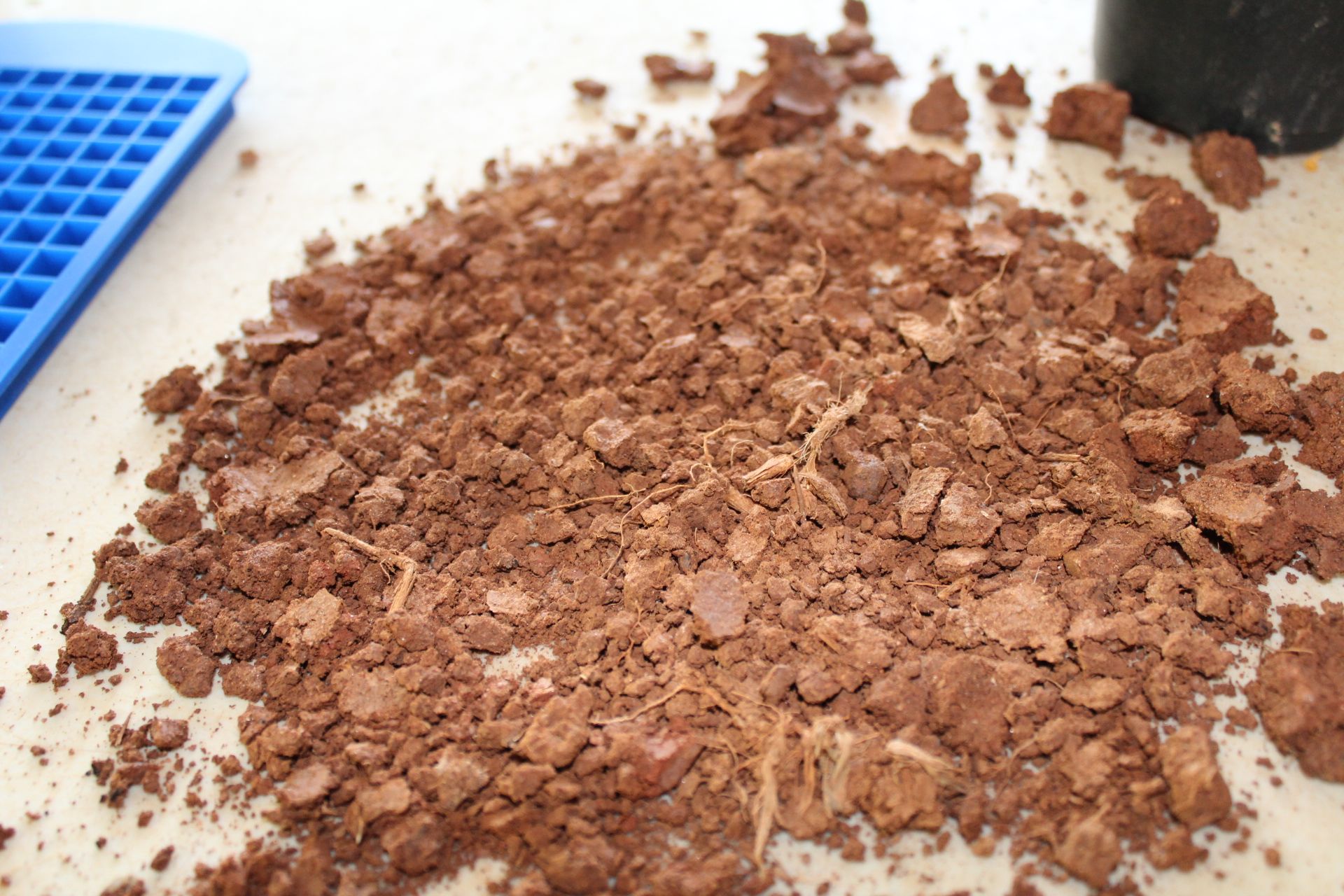 Homemade Pelleted Seeds : 8 Steps (with Pictures) - Instructables