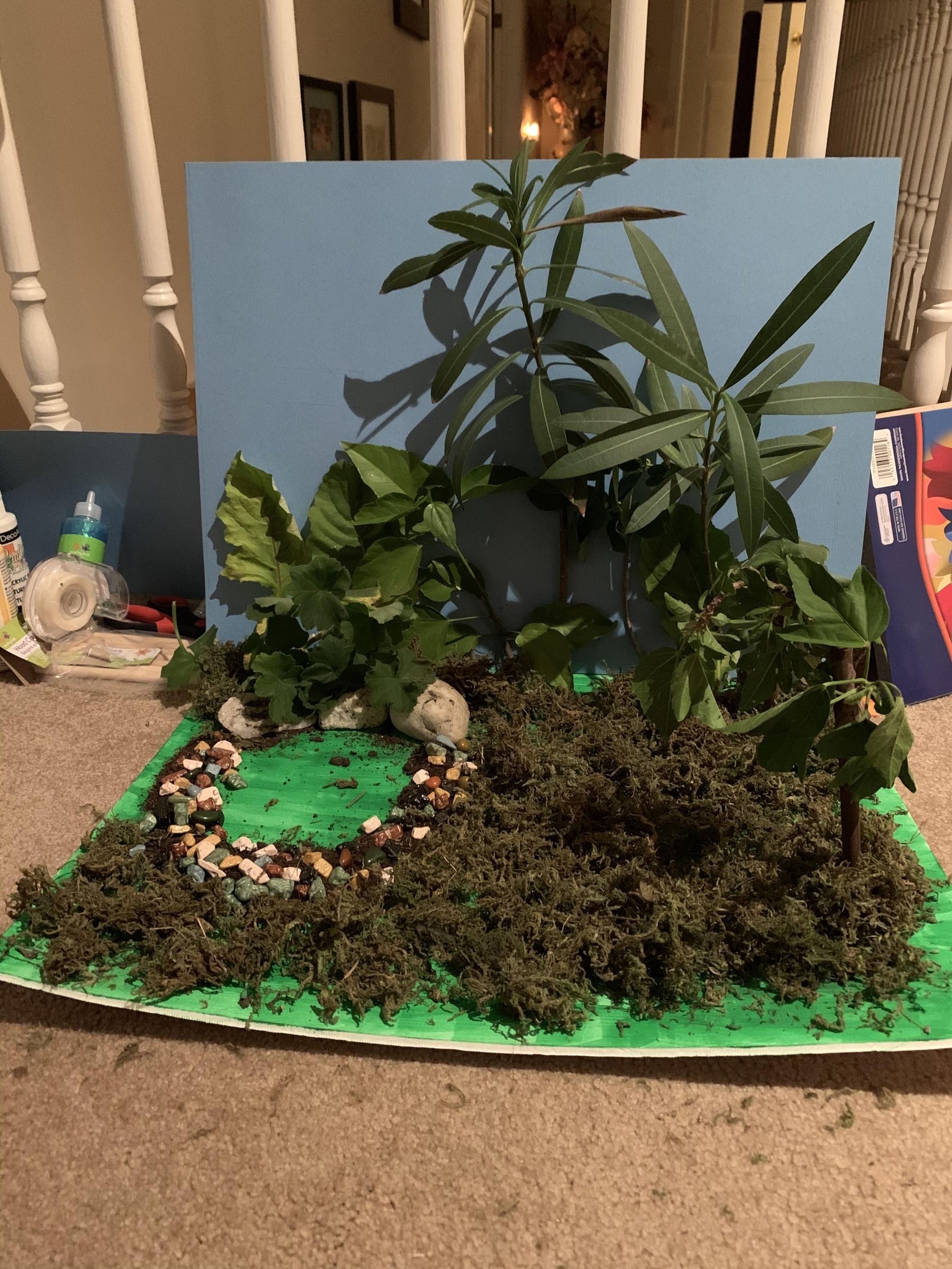 Tropical Rainforest Ecosystem Diorama : 13 Steps (with Pictures ...