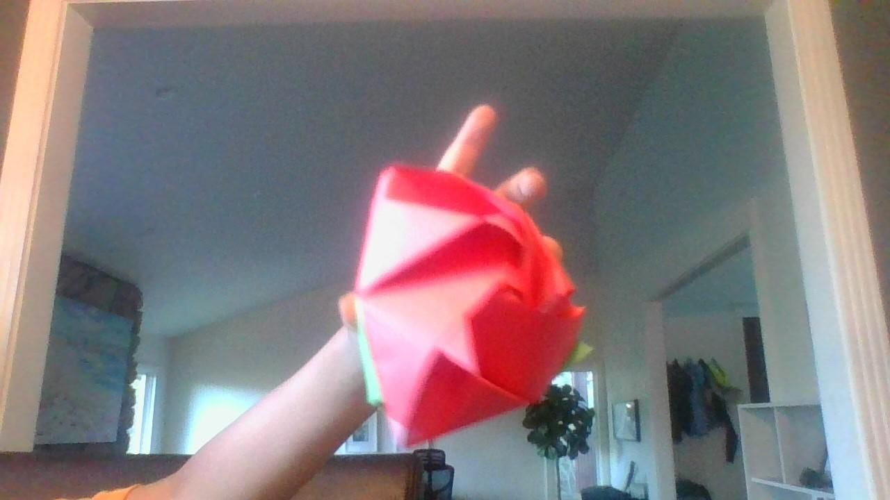 Origami Magic Rose Cube : 17 Steps (with Pictures) - Instructables