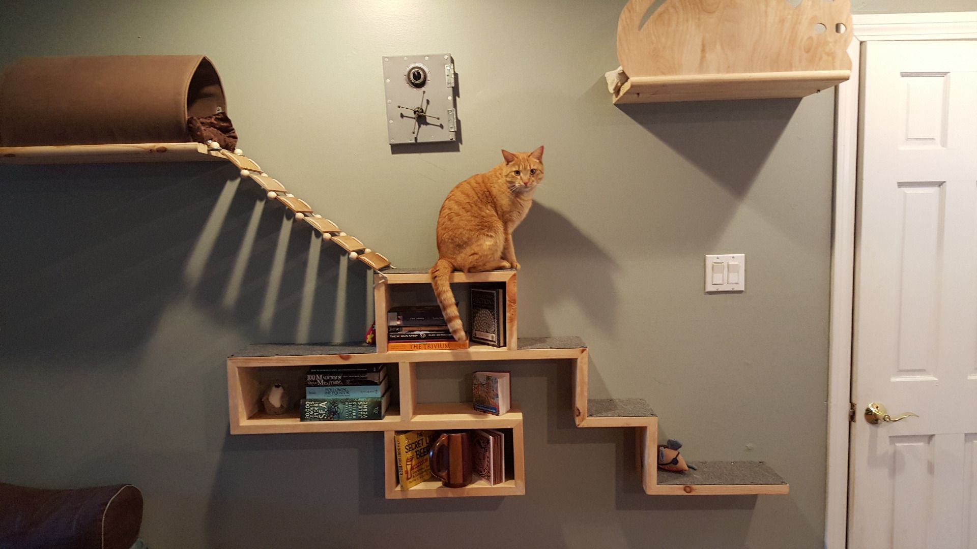 Cat Adventure and Escape Wall : 12 Steps (with Pictures) - Instructables