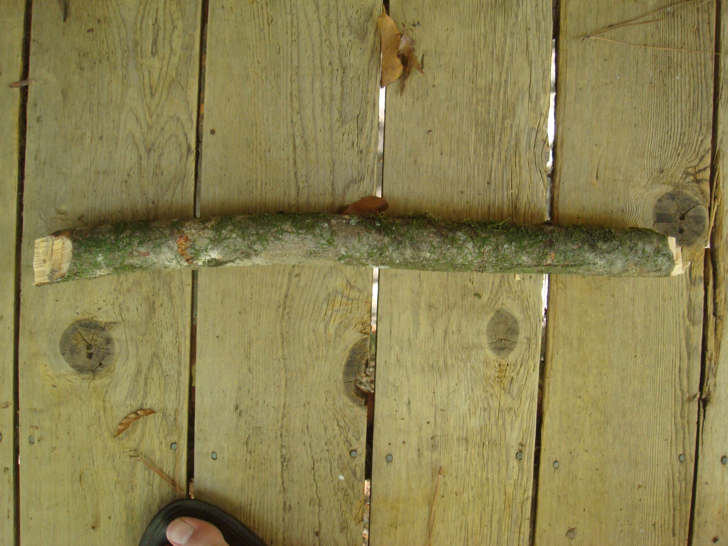 Primitive Weapon/tool : 5 Steps - Instructables