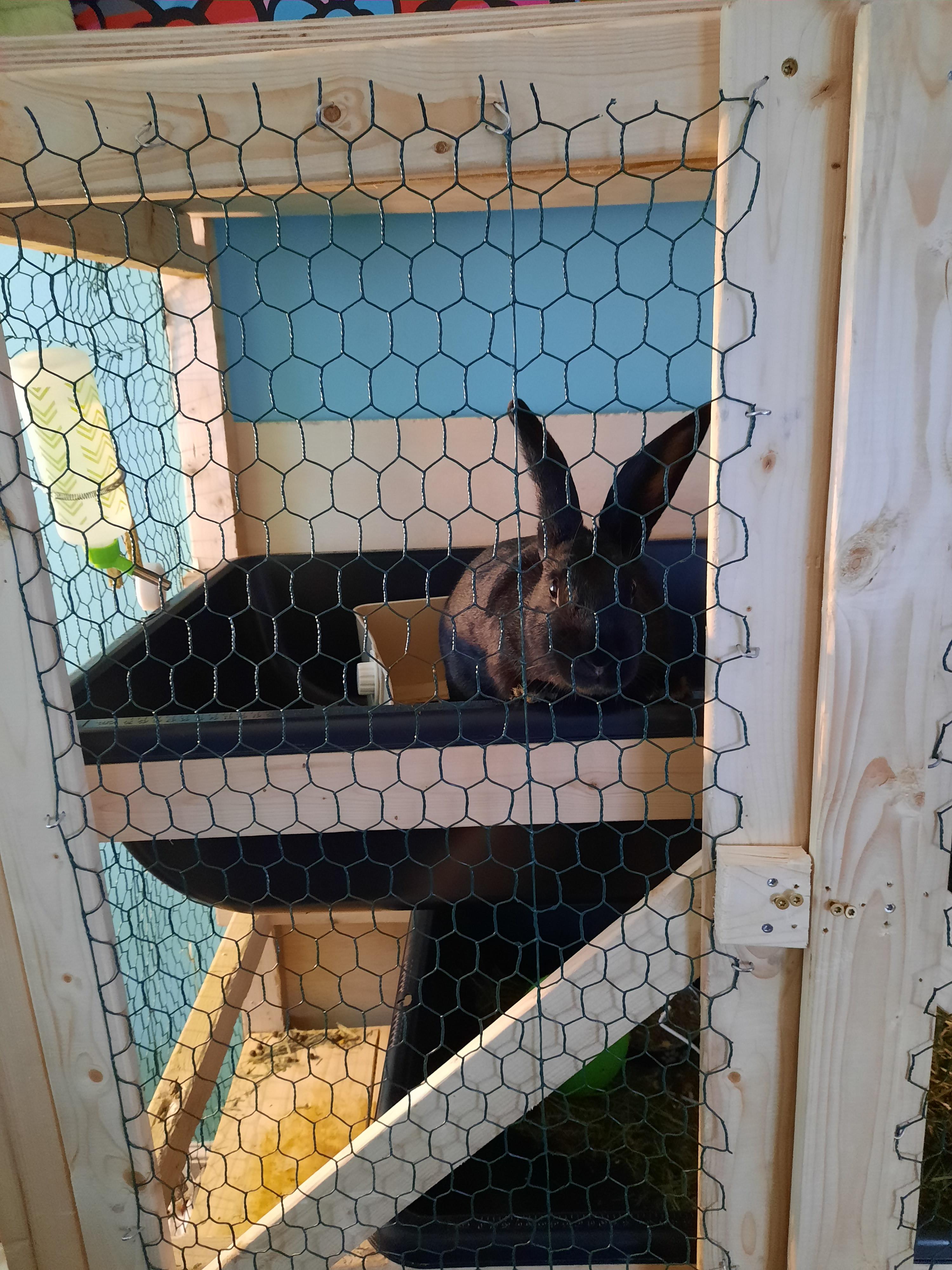 House Rabbit Palace : 7 Steps - Instructables