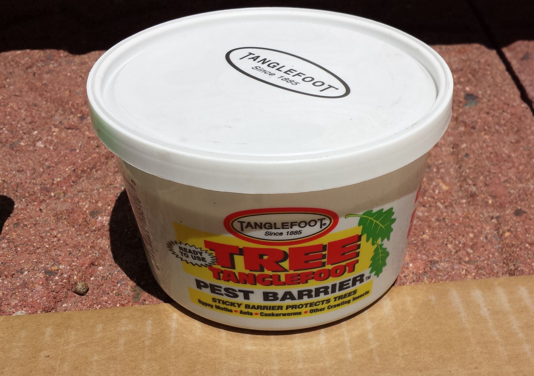 Home-made Insect Sticky Traps! : 4 Steps (with Pictures) - Instructables