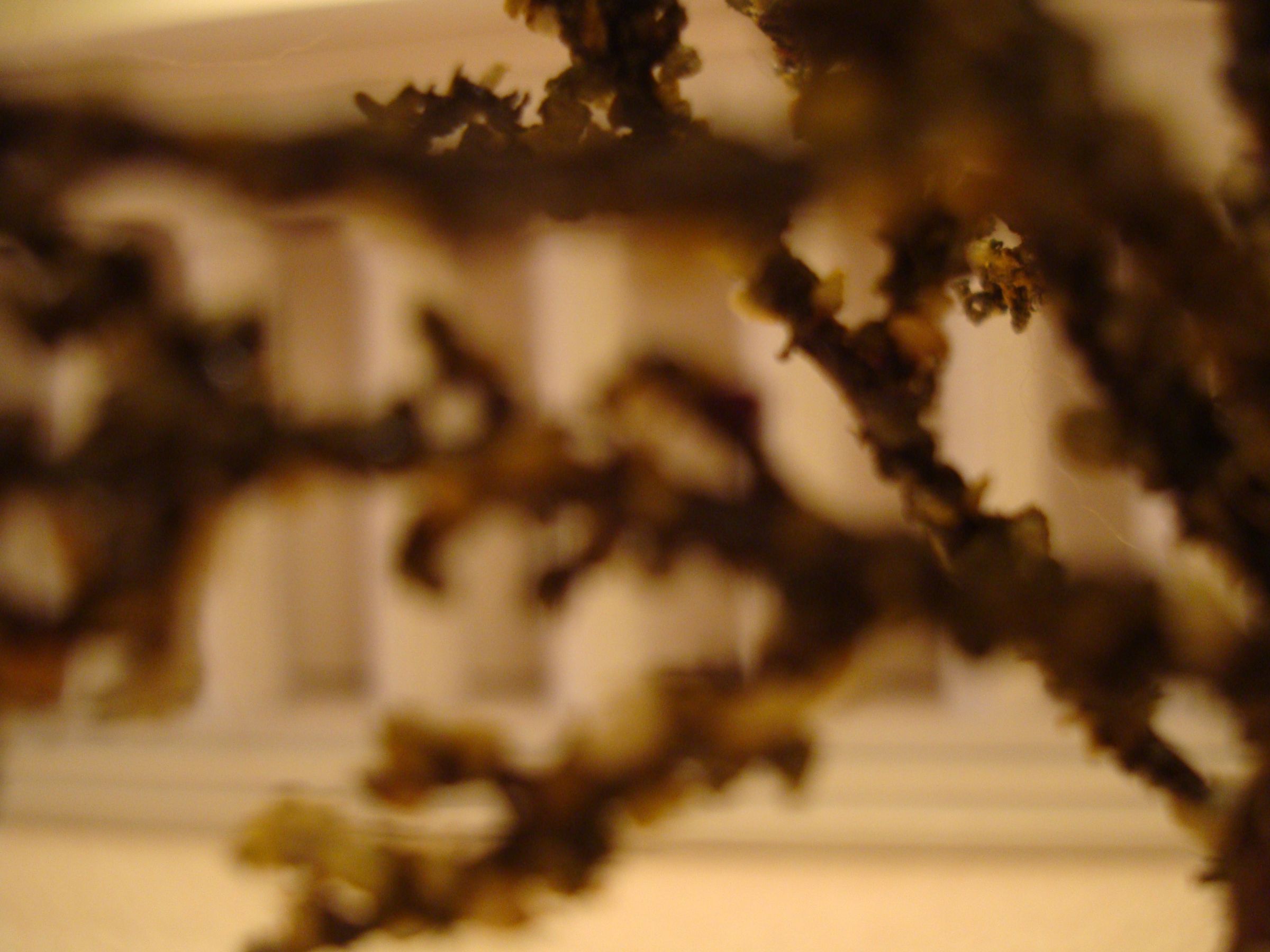 The Parthenon Athens Greece Model - Instructables