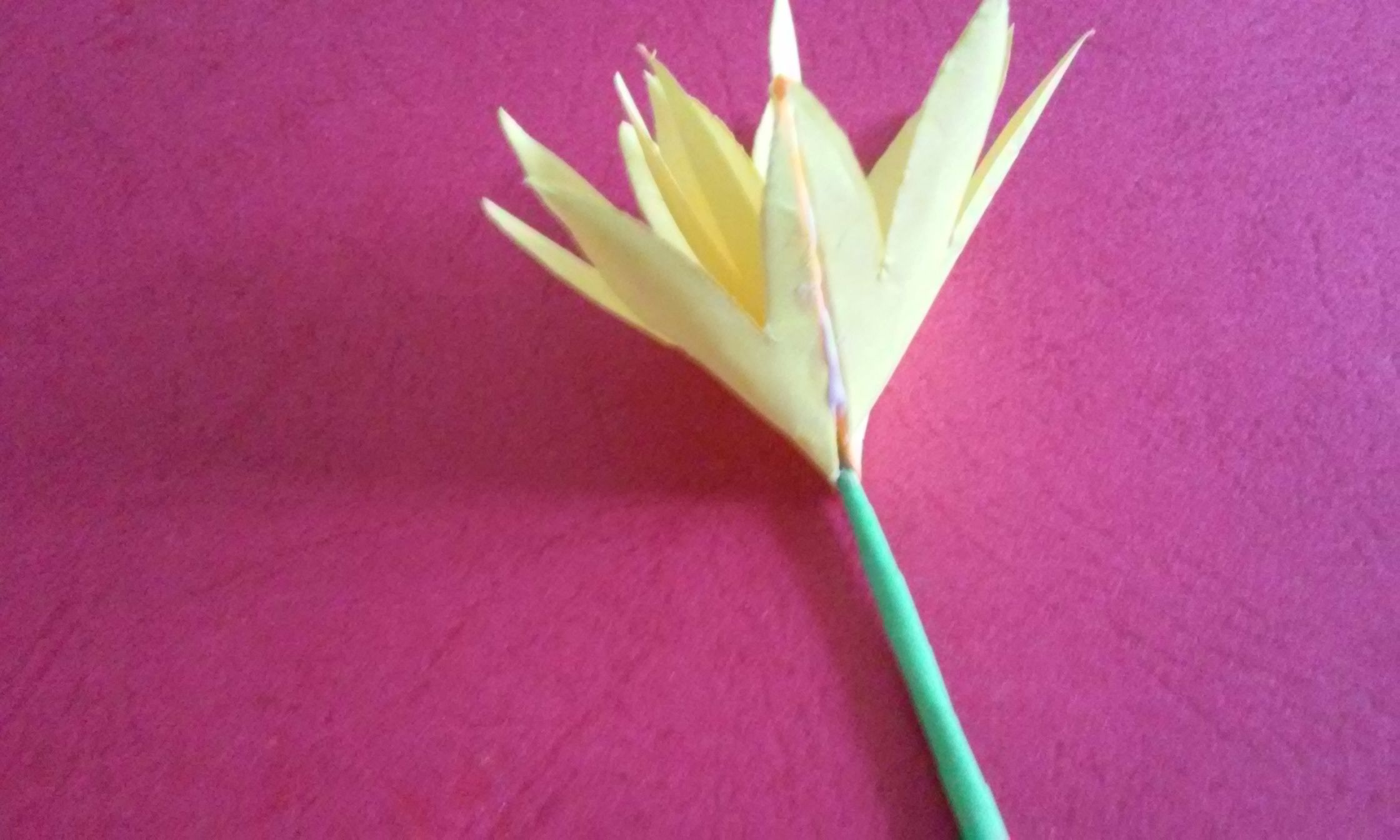 Easy Paper Flowers : 3 Steps - Instructables