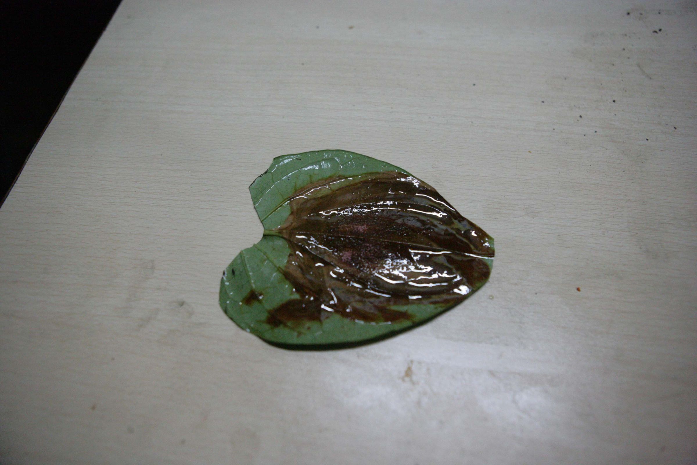 How to Make Plain Paan (Saada Paan) : 11 Steps (with Pictures ...