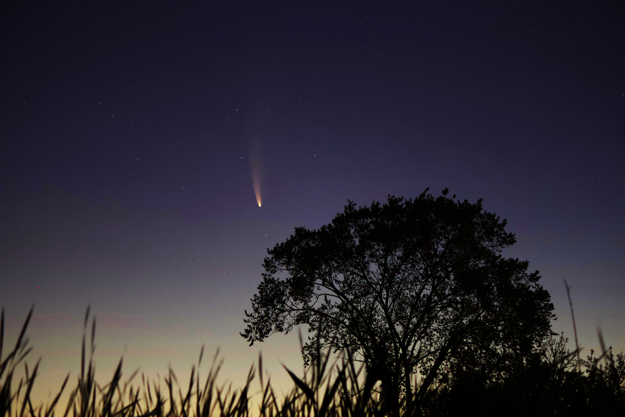Photographing Comets From Your Backyard : 9 Steps (with Pictures ...
