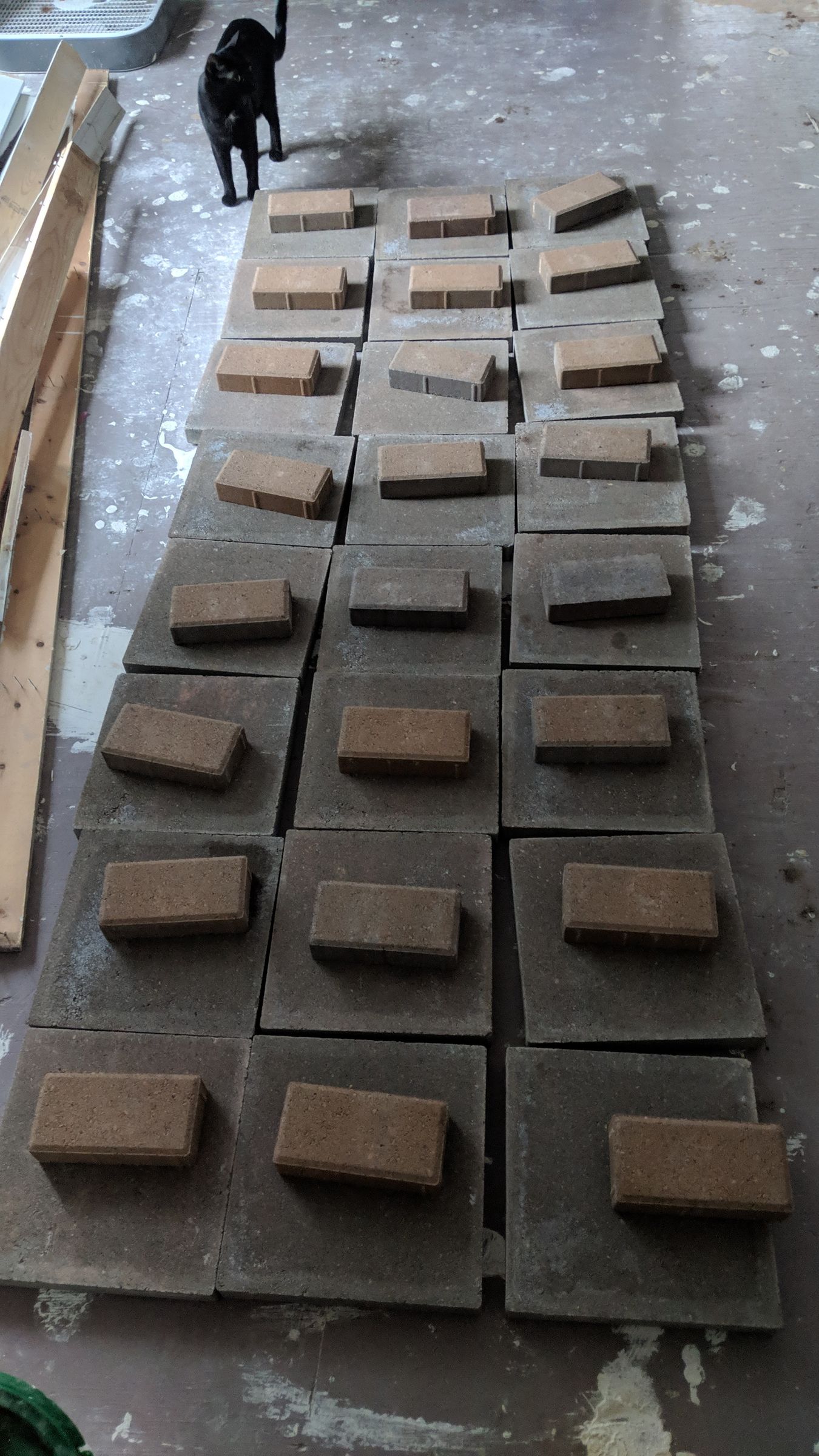 Underground Cat Tunnel : 18 Steps - Instructables