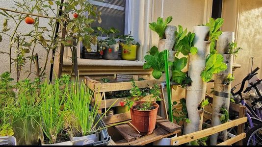 Vertical PVC Garden : 5 Steps (with Pictures) - Instructables