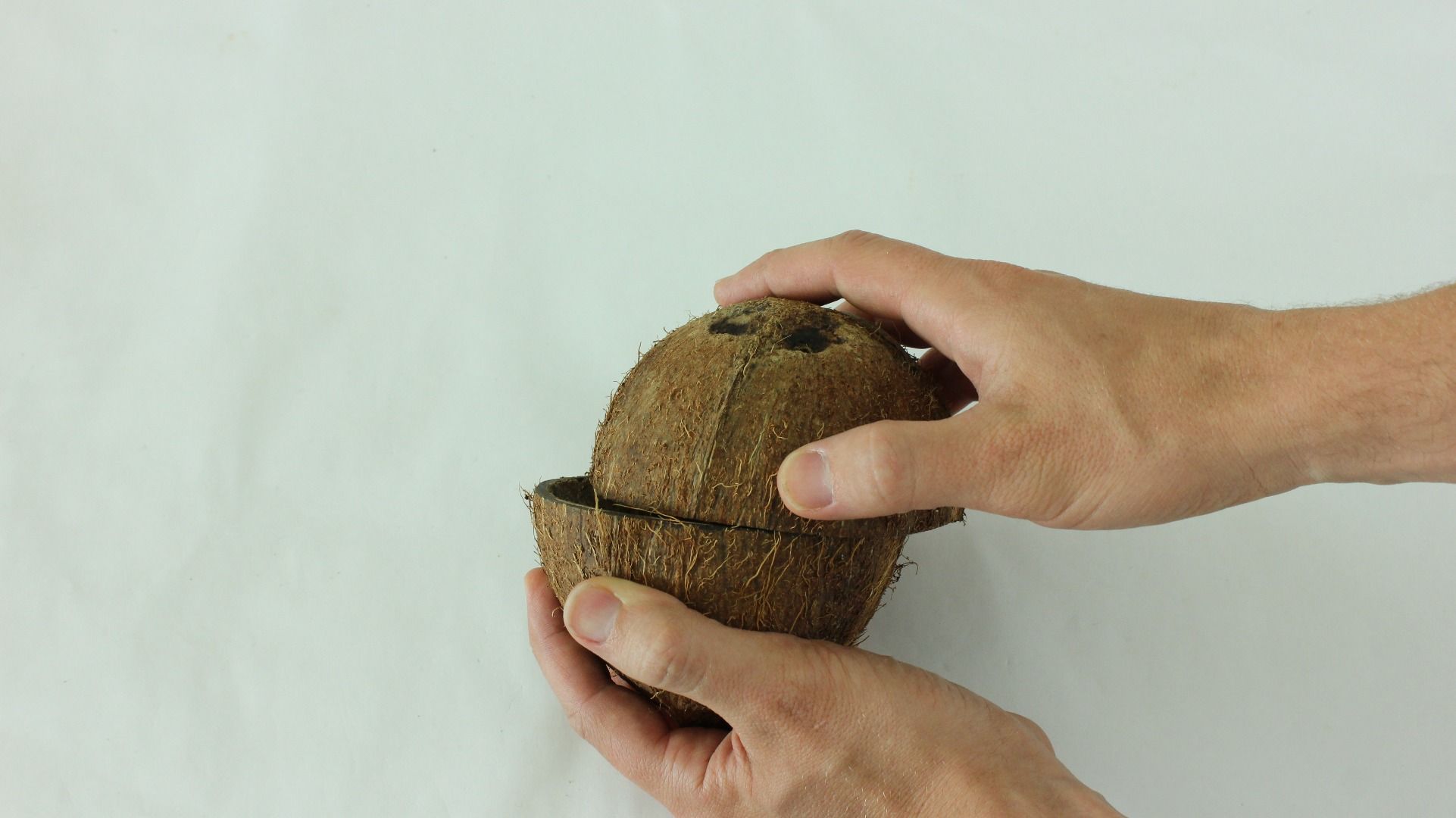 31 Unusual Uses for Coconuts : 31 Steps (with Pictures) - Instructables