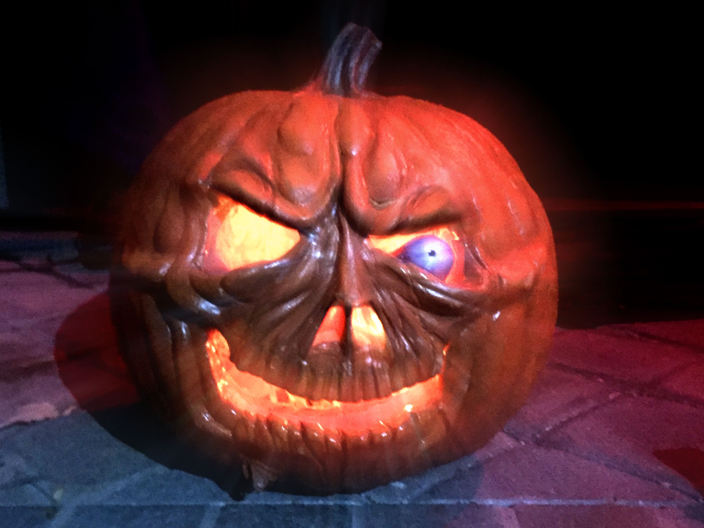 Is That a REAL Pumpkin??? Yes, It Is! : 6 Steps (with Pictures ...