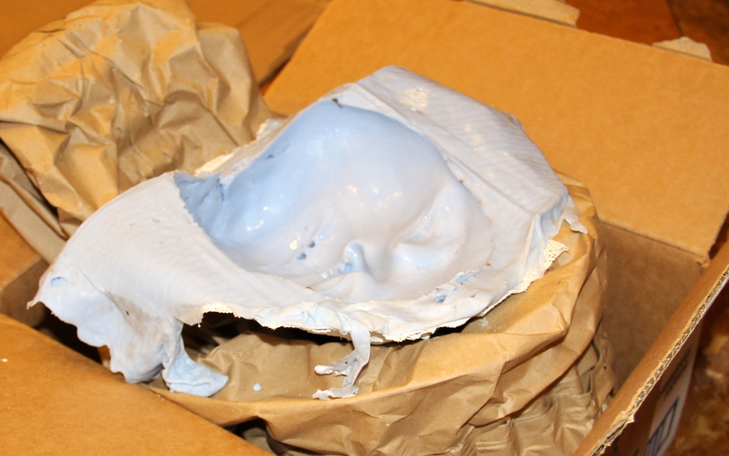Plaster Face Cast : 15 Steps (with Pictures) - Instructables