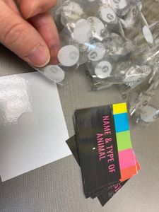 Makey Makey Show and Tell Display : 12 Steps (with Pictures ...