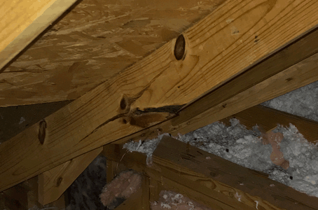 Fix It: Attic Rafter Scab : 4 Steps (with Pictures) - Instructables