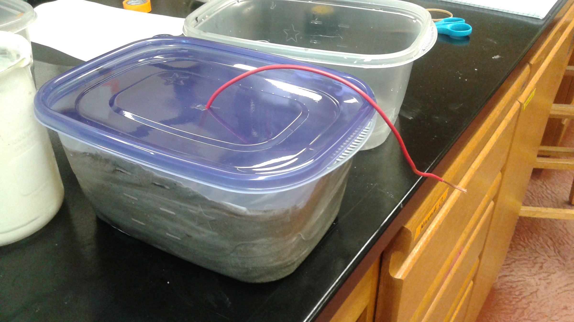 Make a Microbial Fuel Cell : 4 Steps - Instructables