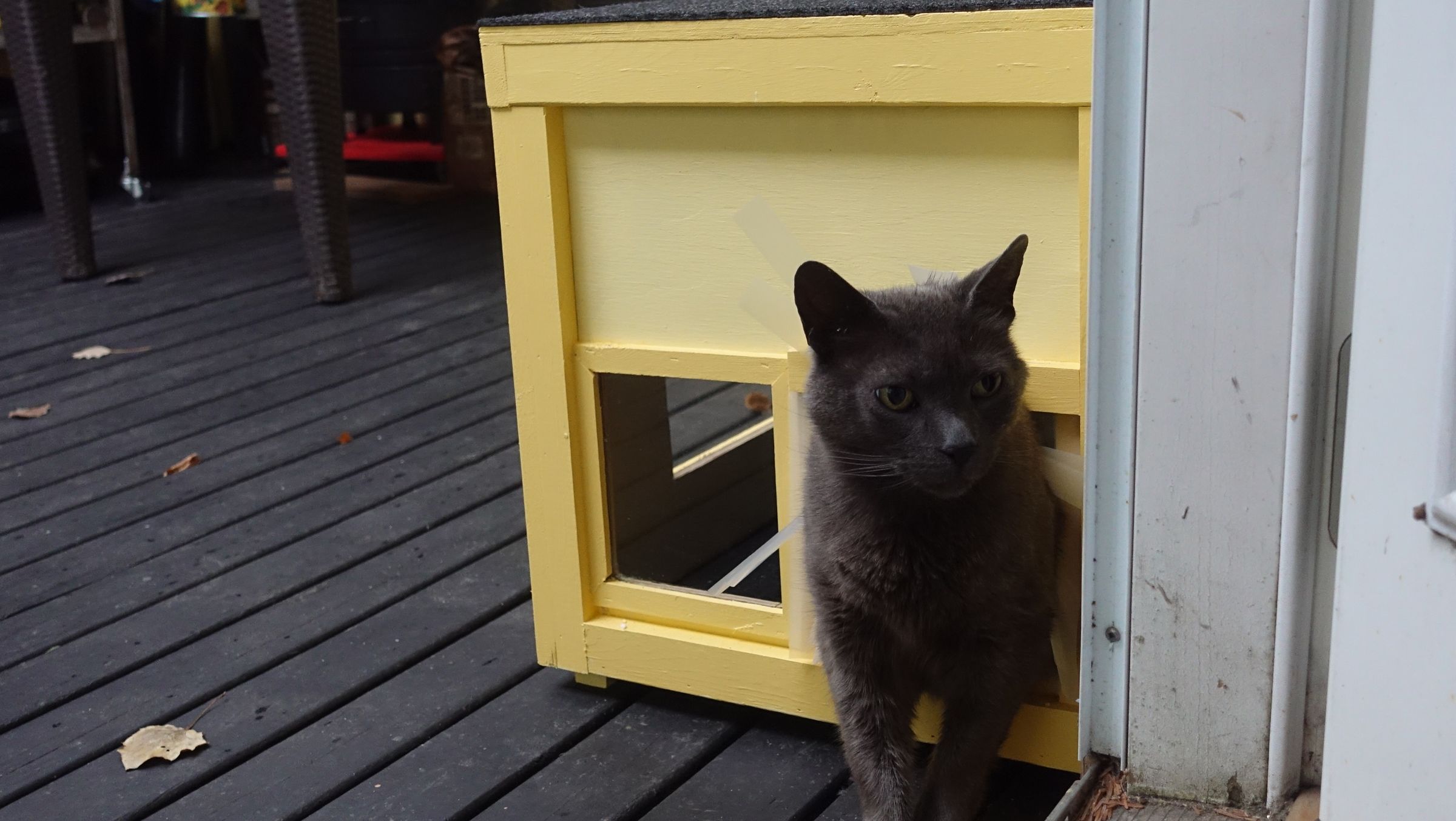 Heated Winter Cat Shelter and Seat : 6 Steps - Instructables