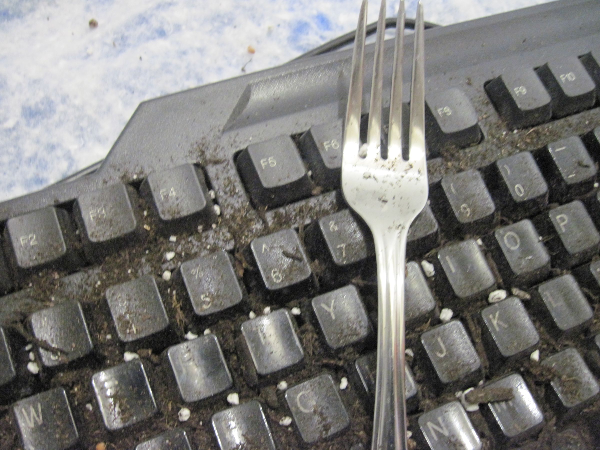 Grow a Keyboard : 10 Steps (with Pictures) - Instructables