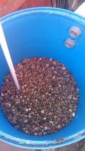 Koi Fish Pond Bio-filter : 8 Steps - Instructables